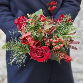 Stella - Les Fleurs de Nicolas
