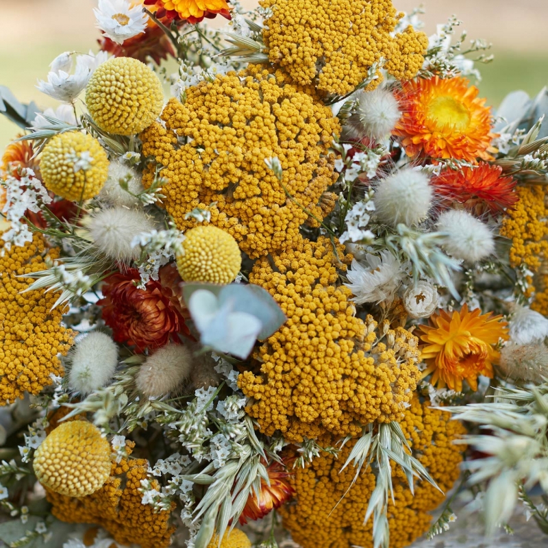 Bouquet de fleurs séchées - Livraison partout en France en 24h - Les ...