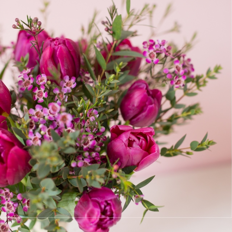 Tulipes made in France - Livraison partout en France en 24h - Les ...